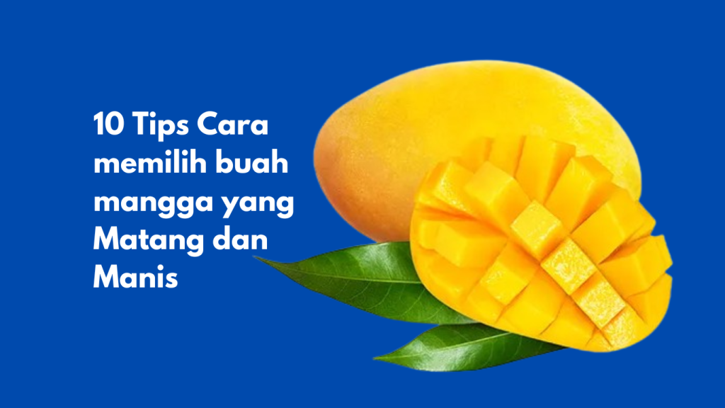 10 Tips Cara memilih buah mangga yang Matang dan Manis - Accumini