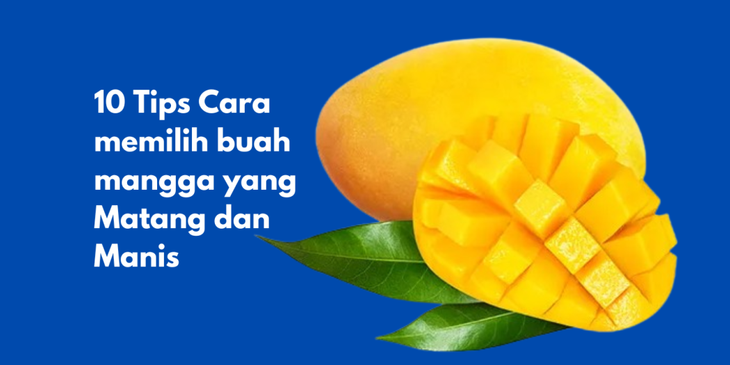 10 Tips Cara memilih buah mangga yang Matang dan Manis - Accumini