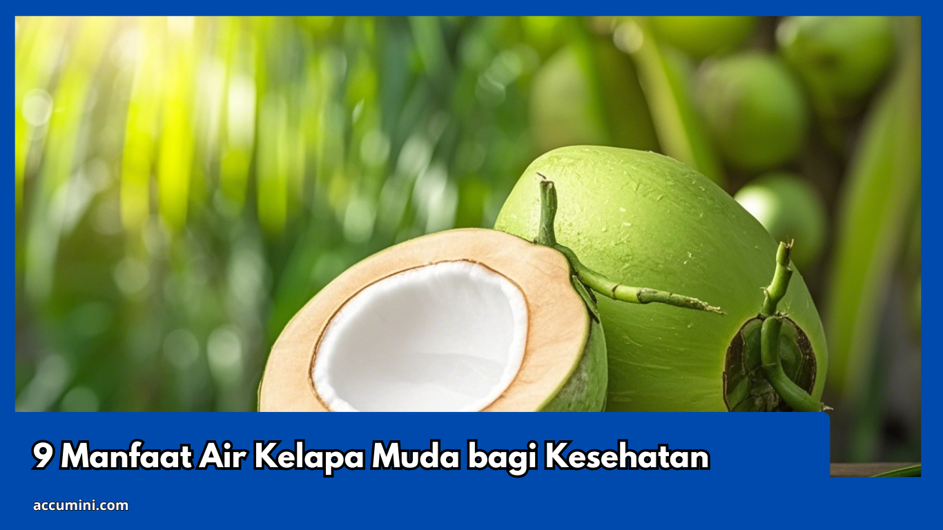 9 Manfaat Air Kelapa Muda bagi Kesehatan - Accumini